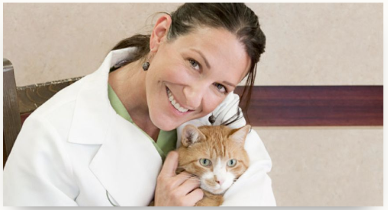 Primary Care Veterinarians – Premier Pet Nurse